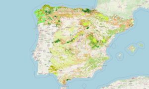 Visor del Mapa Forestal de España | Visores Cartográficos | Meteosierra